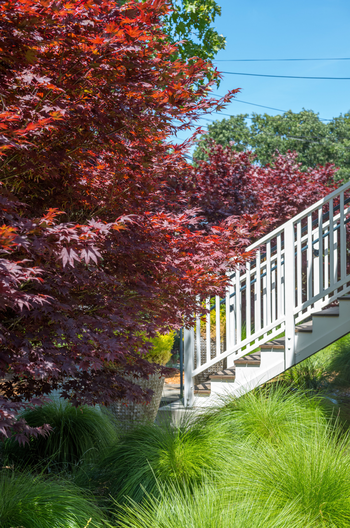 The Croix Estate Winery - Cagwin & Dorward