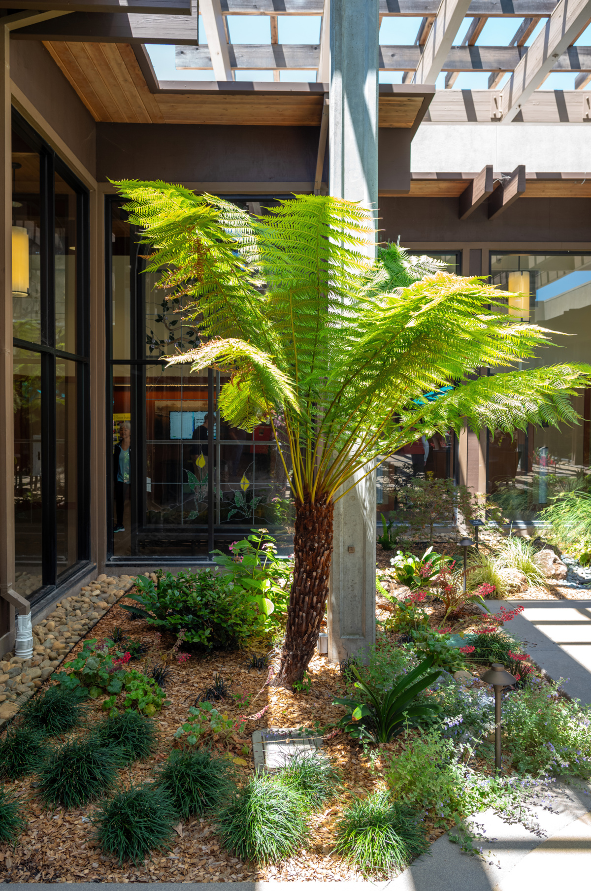 Spring Lake Village Atrium - Cagwin & Dorward