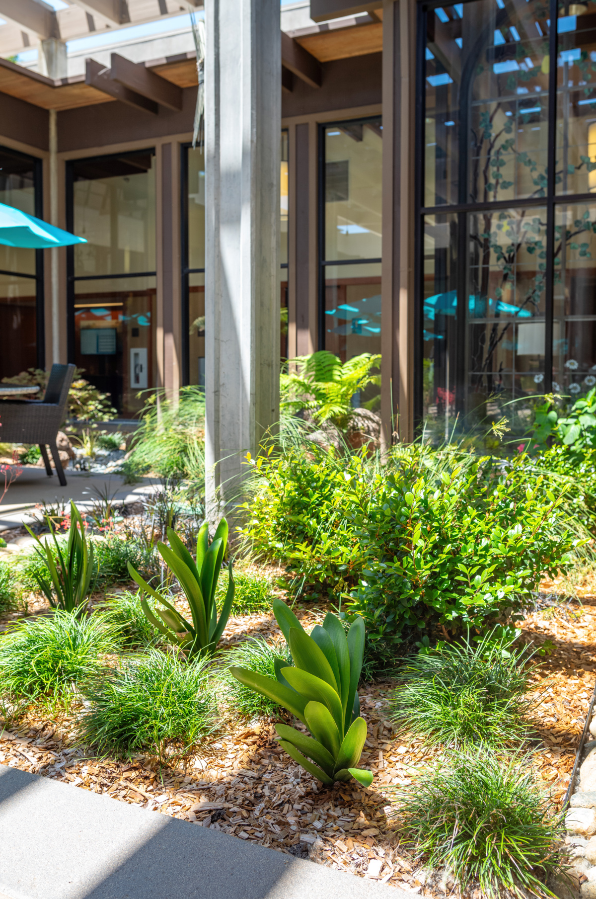 Spring Lake Village Atrium - Cagwin & Dorward