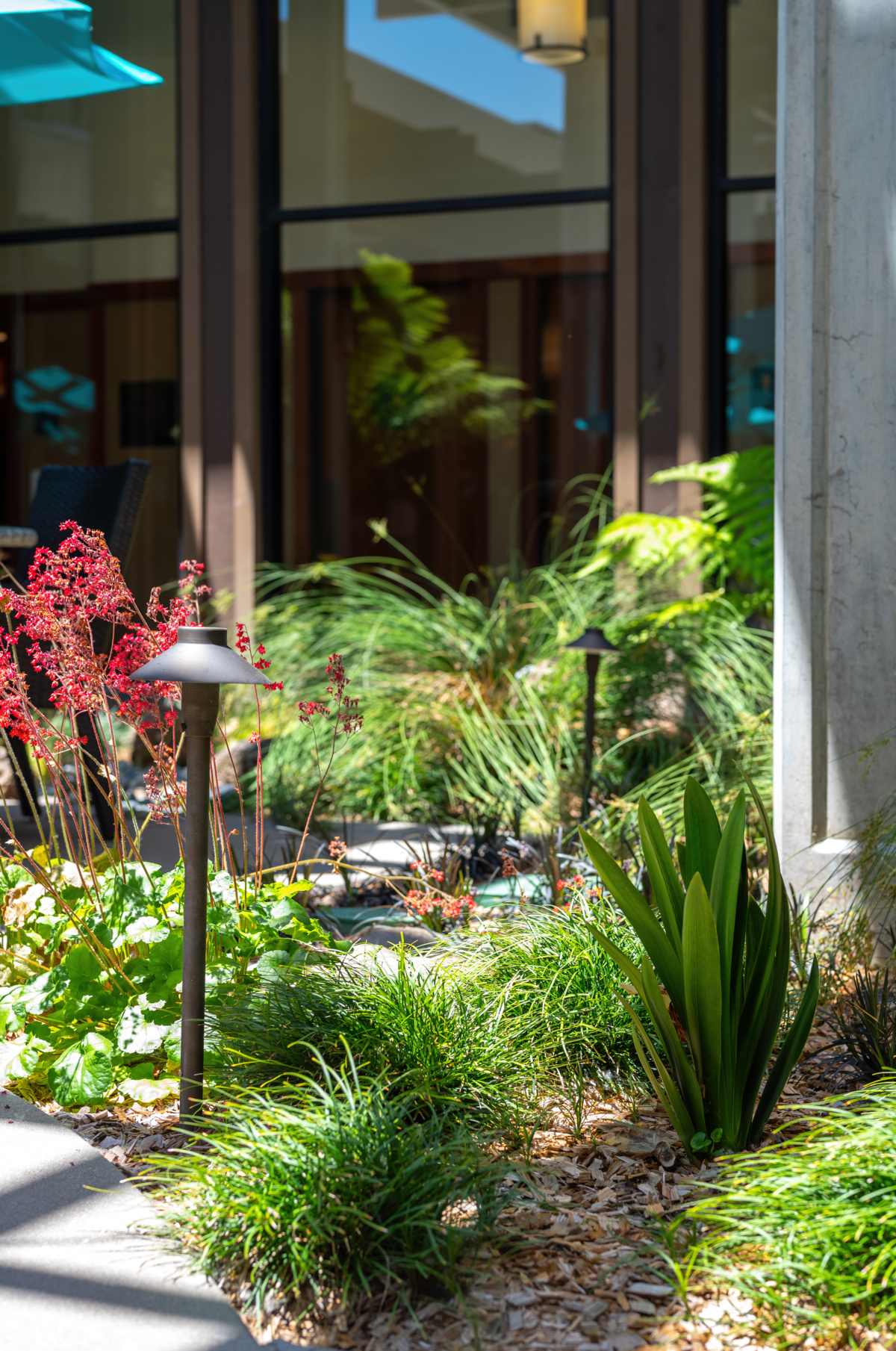 Spring Lake Village Atrium - Cagwin & Dorward