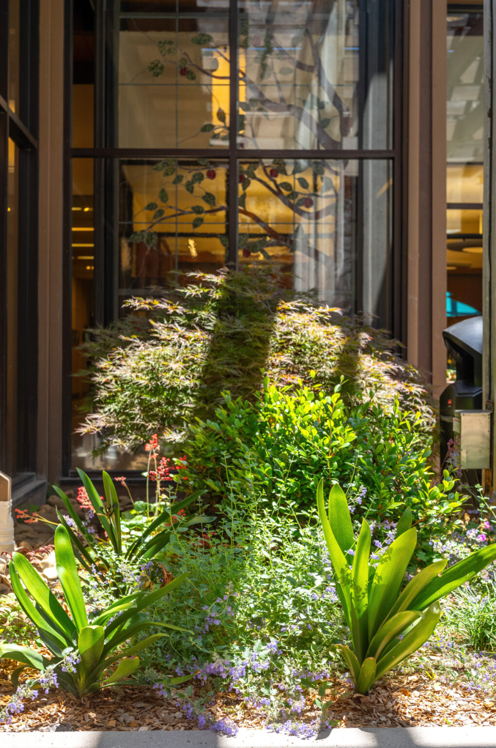 Spring Lake Village Atrium - Cagwin & Dorward