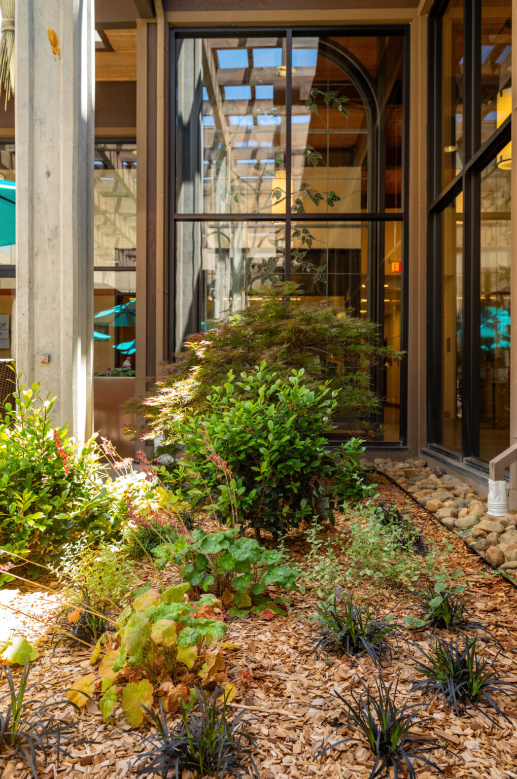 Spring Lake Village Atrium - Cagwin & Dorward