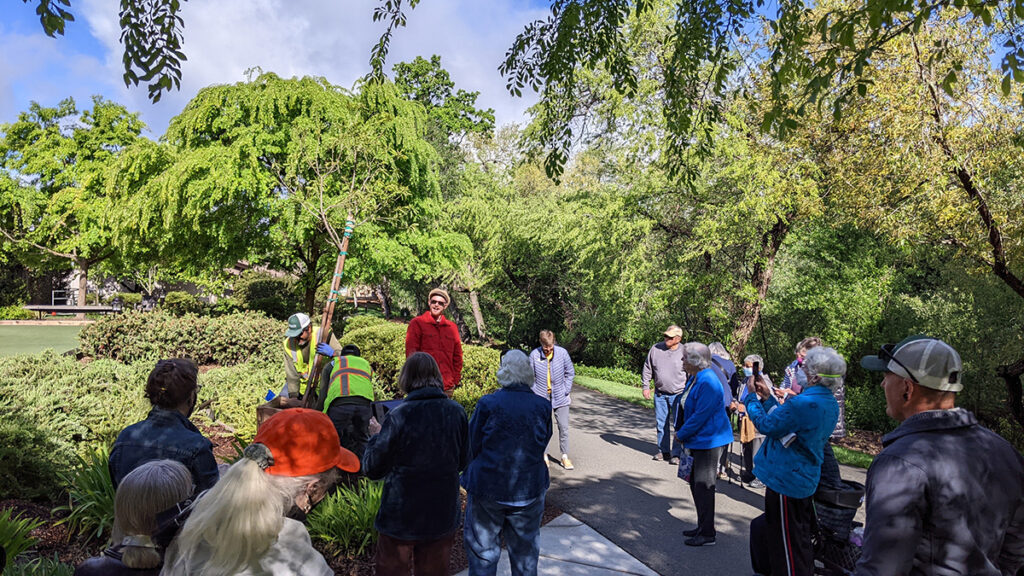 Spring Lake Village Irrigation System and Landscaping - Cagwin & Dorward
