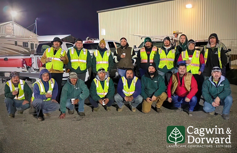 Employee Spotlight with Ricardo Soto - Cagwin & Dorward