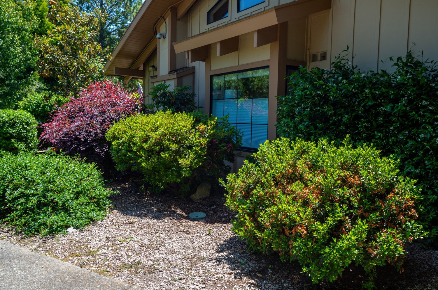 Spring Lake Village Irrigation System and Landscaping - Cagwin & Dorward