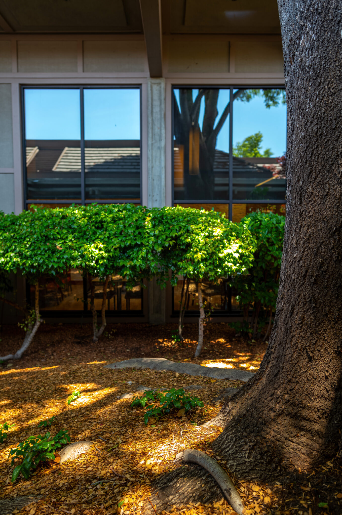 Spring Lake Village Irrigation System and Landscaping - Cagwin & Dorward
