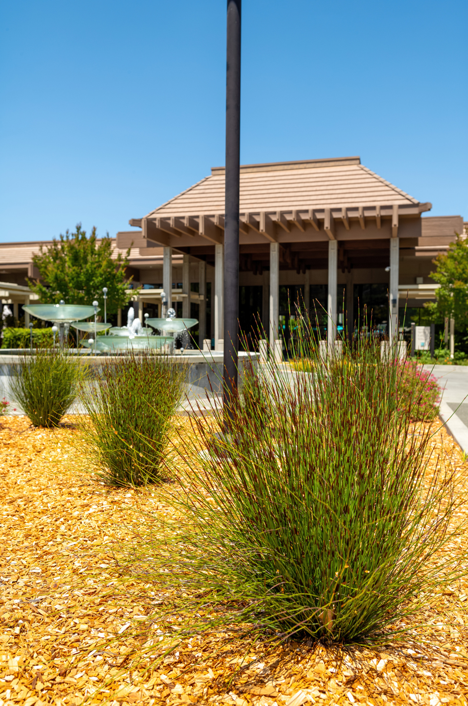 Spring Lake Village Irrigation System and Landscaping - Cagwin & Dorward